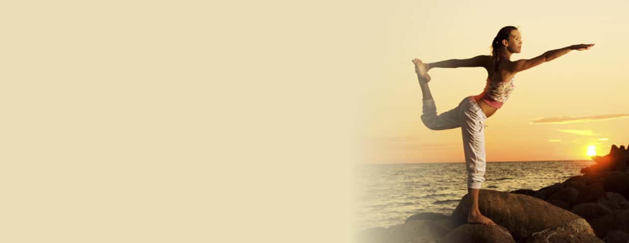 Welcome to Mink Training Systems - Mink Training Systems