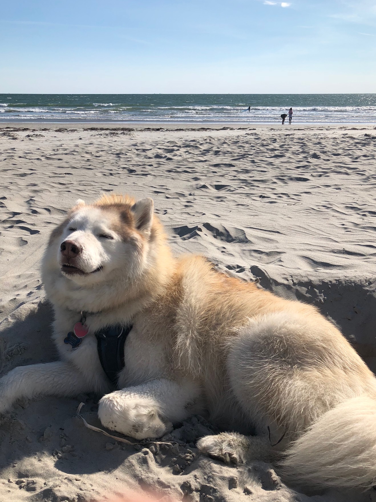 Ten Everyday Tips to Make Your Work Day Fly By (And Feel Healthier By ...